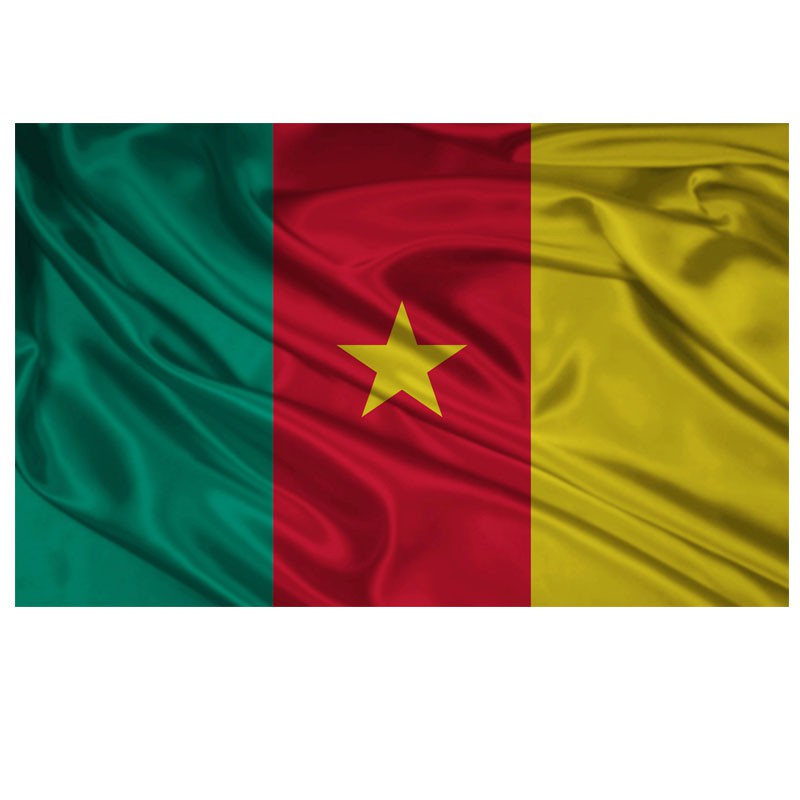 La francofonía en África – Academia de francés Olafrance Donostia